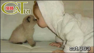 CoTri 番外編 「CaTri -猫賛-」 cat.063「猫と子どもは最強っ！」:ジャパン・コンテンツ・トリビュート:ことりチャンネル ...